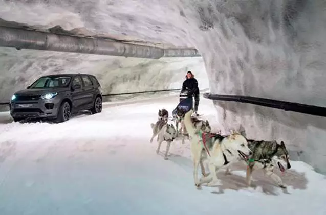 Land Rover Su'e le Championship Dog Sled Team i le Taua a le Rovers 6755_1