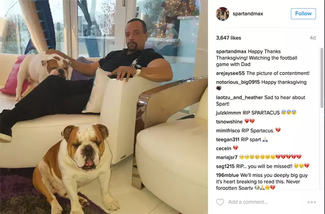 Ice-T-Dog-Spartacus-Dies