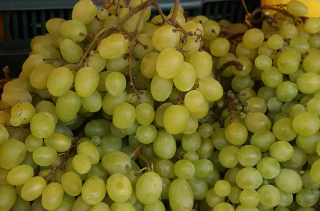 Uvas