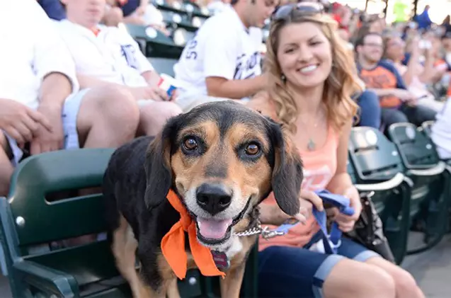 Detroit Tigers, 'Bark at the Park'ın Dönüşünü Açıkladı 7308_1