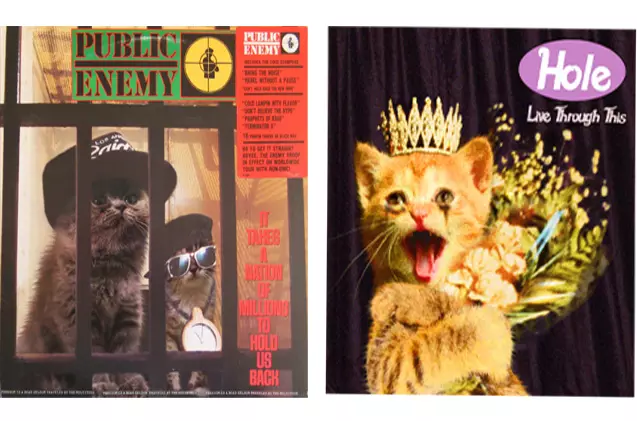 Kitten Album Covers bewiist dat Cats Rock! 7388_1