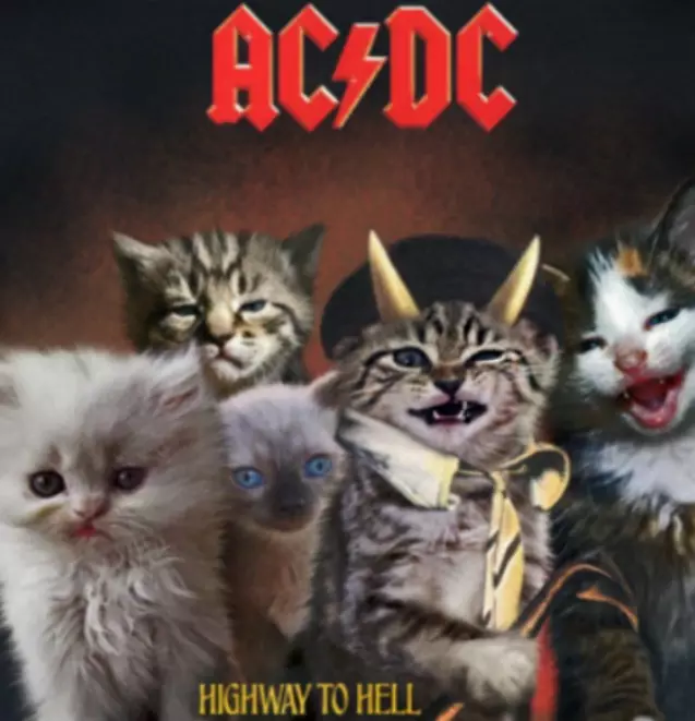 Kitten Album Covers bewiist dat Cats Rock! 7388_2