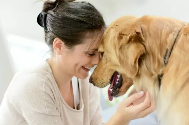 Çalışma: İnsanlar, Köpeklere Karşı İnsanlardan Daha Empatik 7452_1