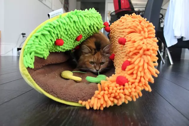 Presentes Meowy Catmas para gatos e fãs felinos: Taco Meoow