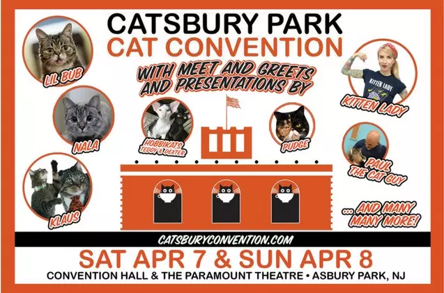 NY Cat Convention Promesas Wow Kitty Pawrents 7712_1