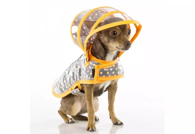 Li-raincoats tse 10 tsa Misty Ho Boloka Pooch ea Hao e Omme 7812_11