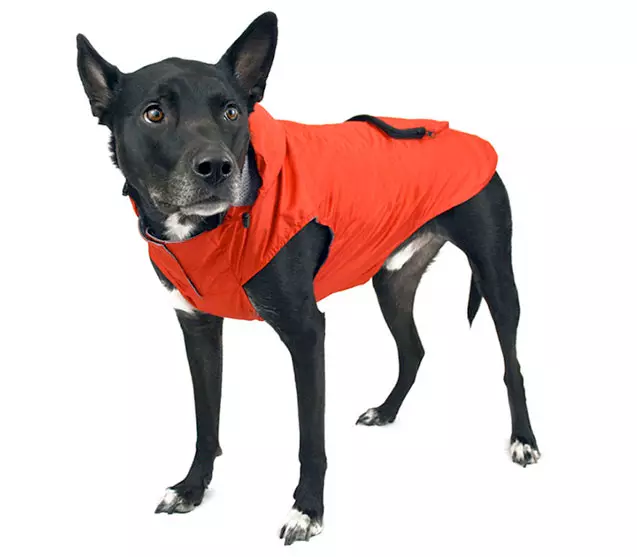 Li-raincoats tse 10 tsa Misty Ho Boloka Pooch ea Hao e Omme 7812_7