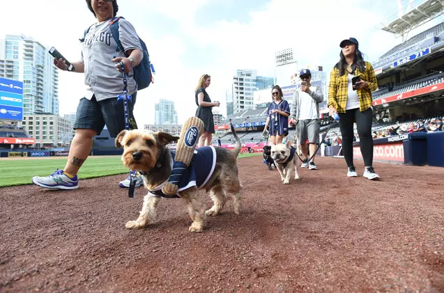 Parading taman di Petco's Dog Days of Summer