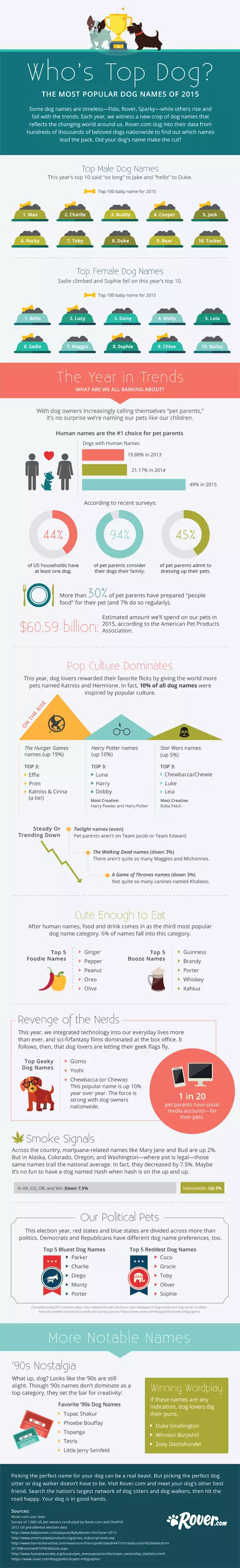 2015_Dog_Name_Infographic