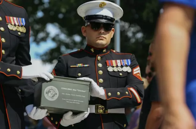 Canine War Hero's Ashes Laid to Rest in Touching Tribute 7927_1