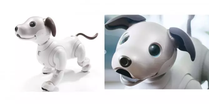 Chú chó robot Aibo mới của Sony đang cho chúng tôi đôi mắt của chú chó con 8067_1