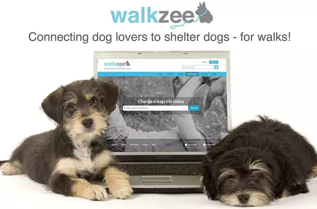 walkzee Kickstarter Kepengin Masangake Walkers Tanpa Anjing Kanthi Anjing Shelter 8087_1