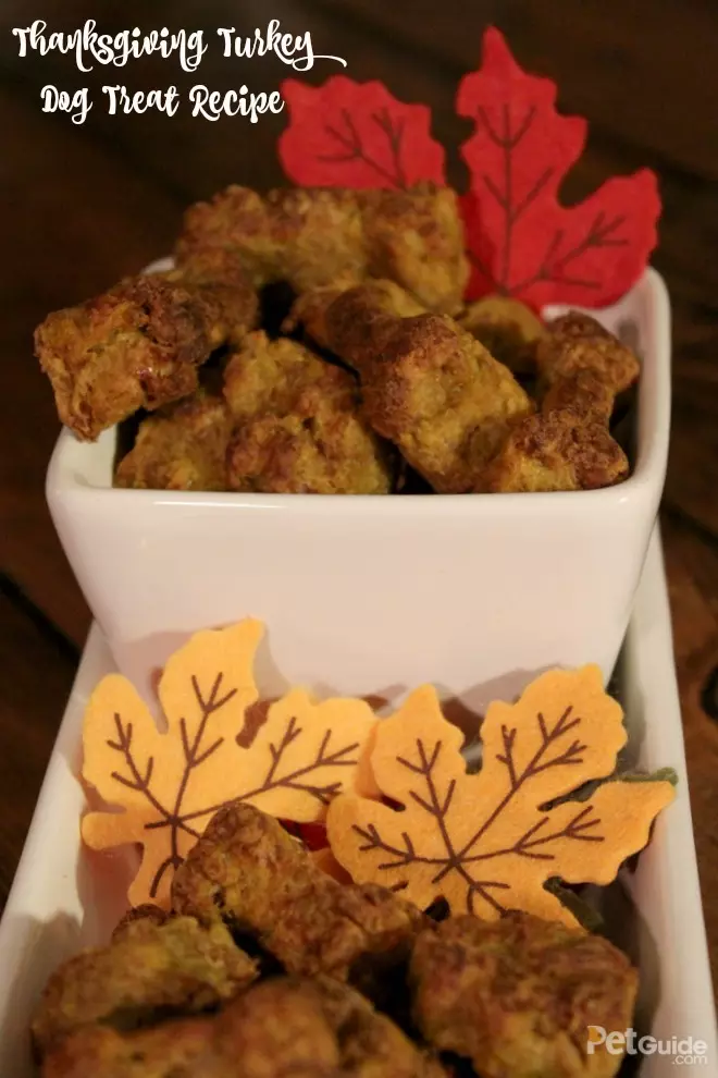 Thanksgiving Turkey Dog Treat Recipe 1