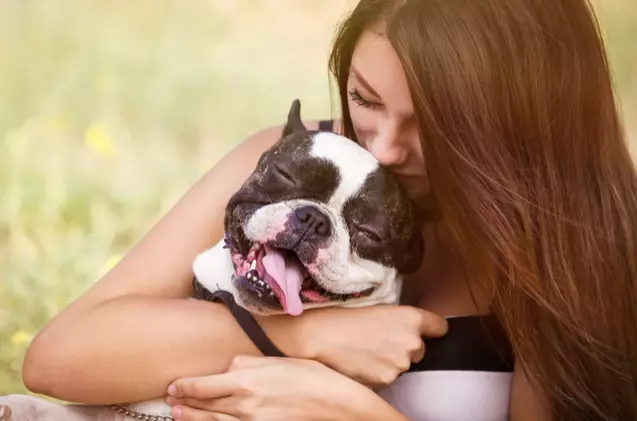 科学者は犬と人間の間の驚くべき類似性を明らかにします 8301_1