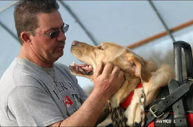 Amazing Service Dogs Hezitako txakurrak Ezindu Nekazariei laguntzen 8325_1