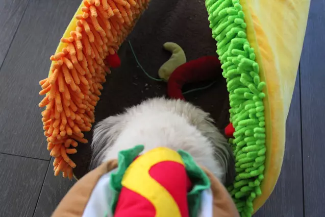 סקירת מוצר: Taco Meoow Cat Bed