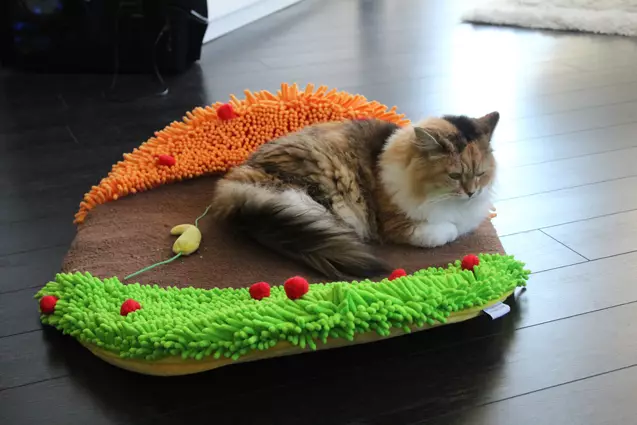 Ukubuyekezwa Komkhiqizo: I-Taco Meoow Cat Bed