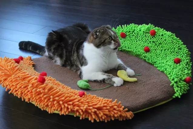 Product Review: Taco Meoow Cat Bed