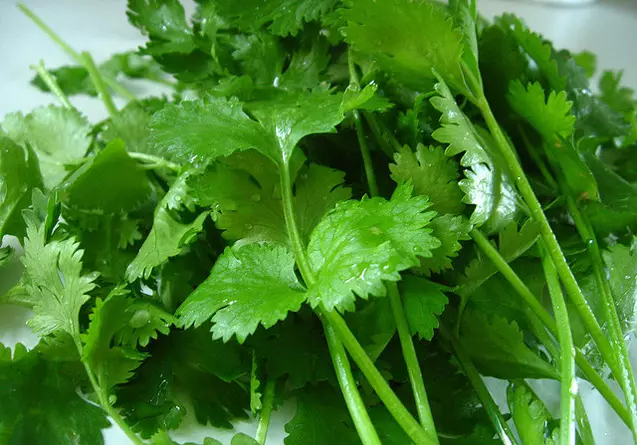 cilantro-safe-pre-psis