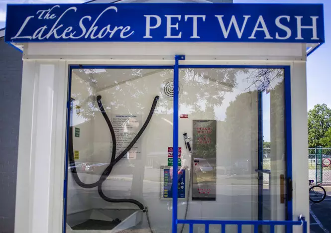 Nyeuseuh Anjing Gaya Laundromat Anyar di Michigan 8550_1