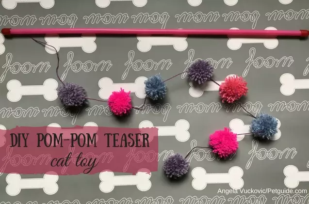 DIY Pom-Pom Teaser Cat Toy 8630_1