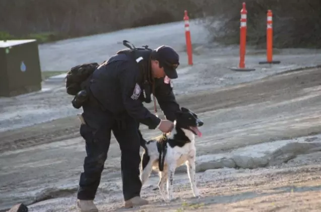 Il cane da salvataggio previsto per l'eutanasia è l'eroe delle vittime dell'uragano Harvey 8977_1