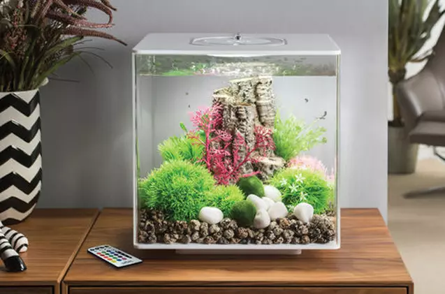 biOrb Cube 30 Aquarium Giveaway 9188_1