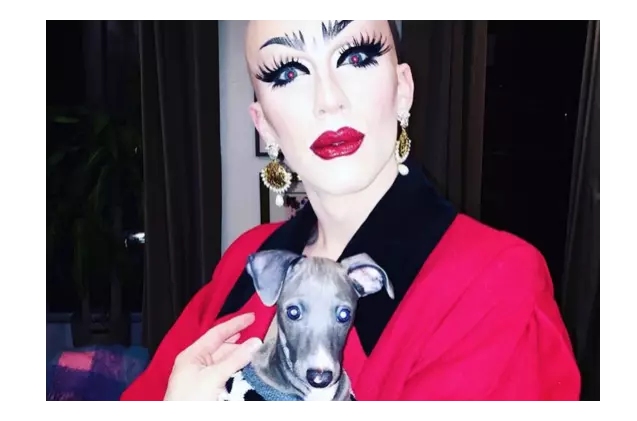 Mpandresy amin'ny Drag Race Sasha Velour's Dog Sports Fierce mijery ao amin'ny Instagram 9197_1