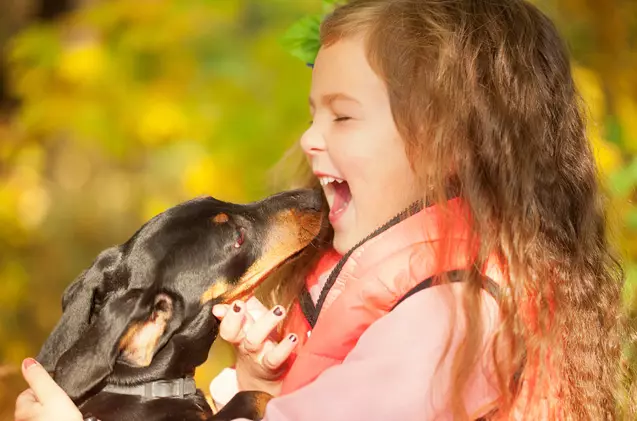 Studie: Haustiere helfen, das Asthmarisiko bei Kindern zu senken 9414_1