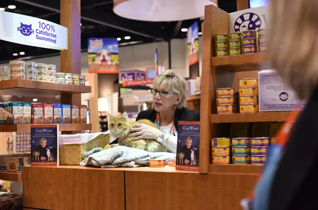 Global Pet Expo Debuts Iyo Catwise Cafe Tour 9490_1