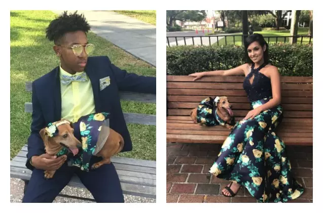 Een stijlvol hondje paste bij haar mama en prom-date in Florida