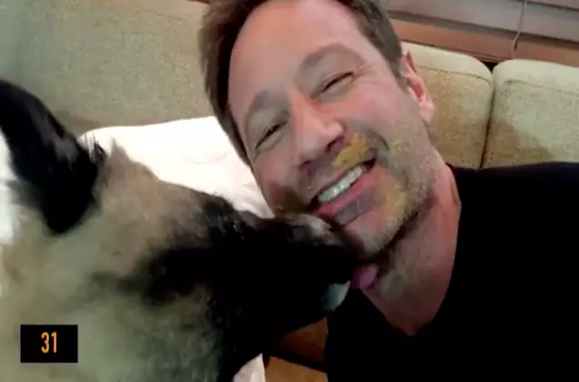 David Duchovny: „Lick My Face“ na podporu iniciativy Zero-Kill Shelter Initiative 9704_1