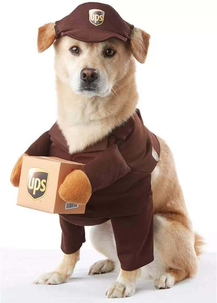 Top 10 des costumes d'Halloween pour chiens hurlants 9724_10