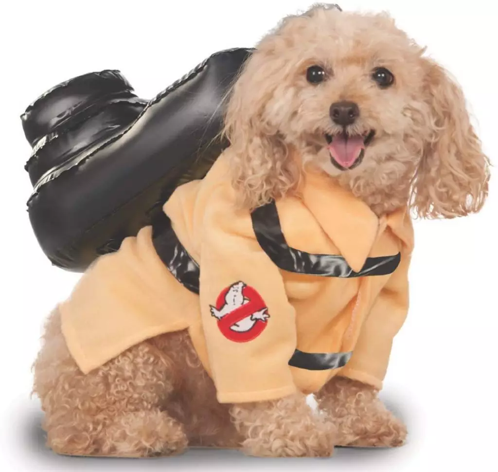 Top 10 des costumes d'Halloween pour chiens hurlants 9724_4