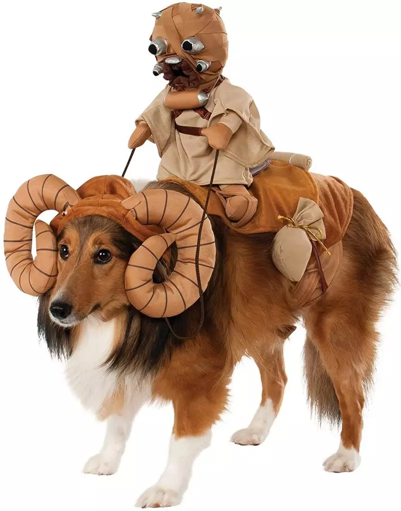 Top 10 des costumes d'Halloween pour chiens hurlants 9724_5