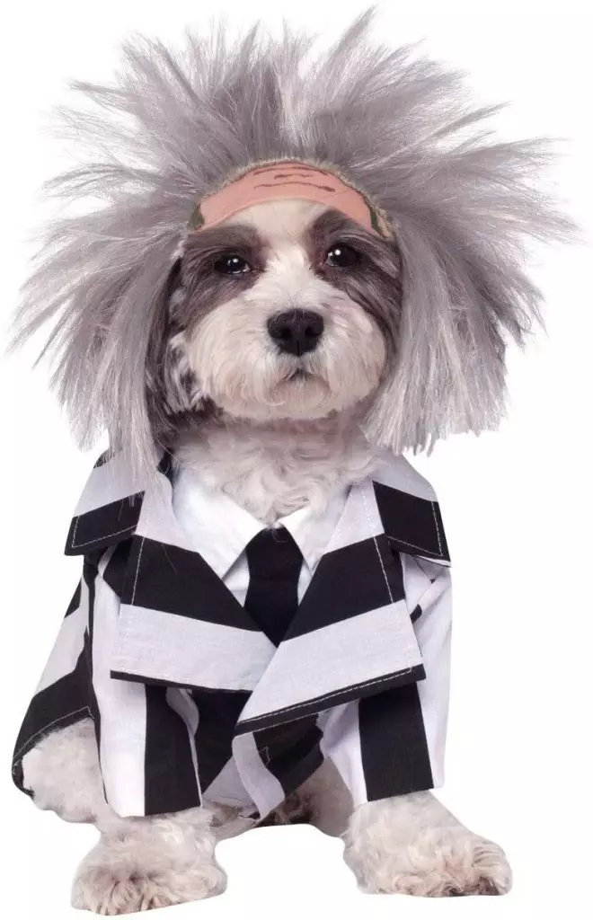 Top 10 des costumes d'Halloween pour chiens hurlants 9724_6