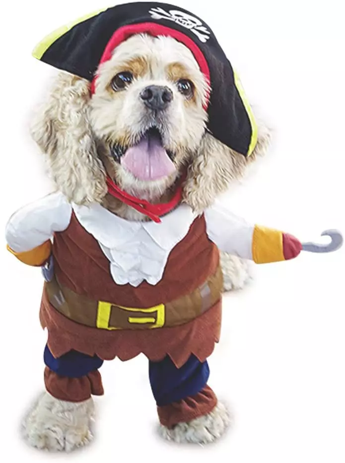 Top 10 des costumes d'Halloween pour chiens hurlants 9724_7