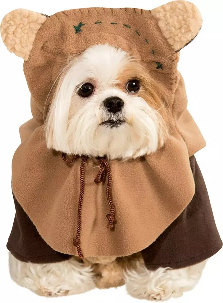 Top 10 des costumes d'Halloween pour chiens hurlants 9724_9