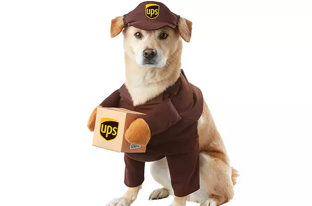 Kostuums die uw hond wenst dat u nooit heeft gevonden: UPS-vrachtwagenchauffeur