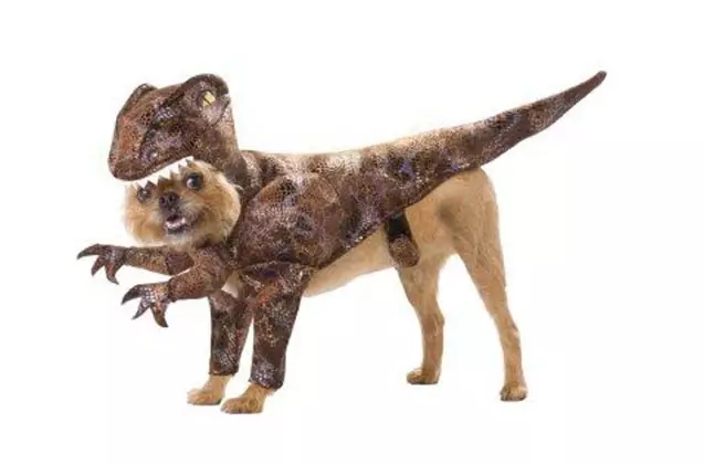 Kostuums die uw hond wenst dat u nooit heeft gevonden: T-Rex hondenkostuum