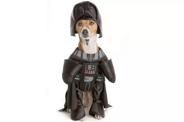 Kostuums die je hond zou willen dat je nooit hebt gevonden: Darth Vader