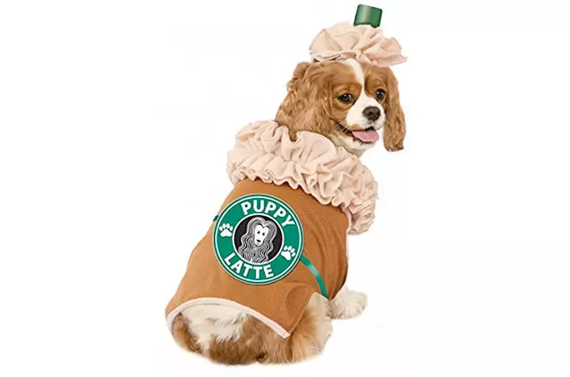 Kostuums die je hond zou willen dat je nooit hebt gevonden: Starbucks-hondenkostuum