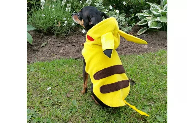 Kostuums die je hond wenst dat je nooit hebt gevonden: Pikachu-hondenkostuum