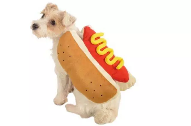 Kostuums die uw hond wenst dat u nooit heeft gevonden: hotdogkostuum