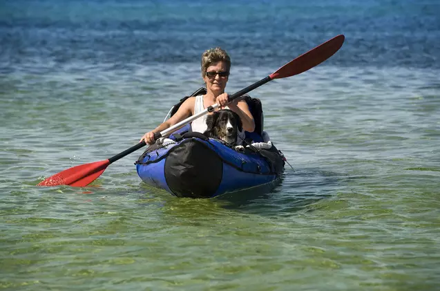 Paddling Madra: Conas Cadhcáil le Do Mhadra 9738_1