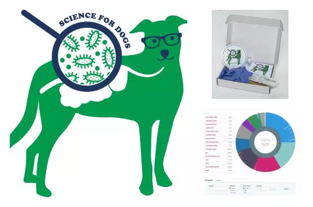 Kickstarter DoggyBiome corta a porcaria para uma vida mais saudável 9870_1